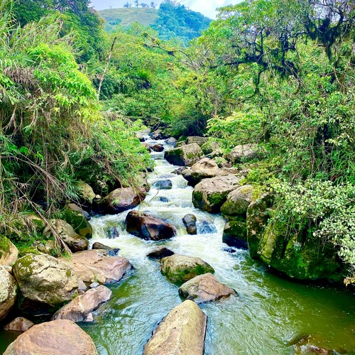 Stream thursday JR | Listen to The Jon Audition playlist online for ...