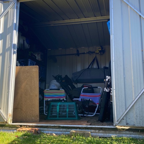 Stream Bongo Fever by Crackers With Sauce | Listen online for free on ...