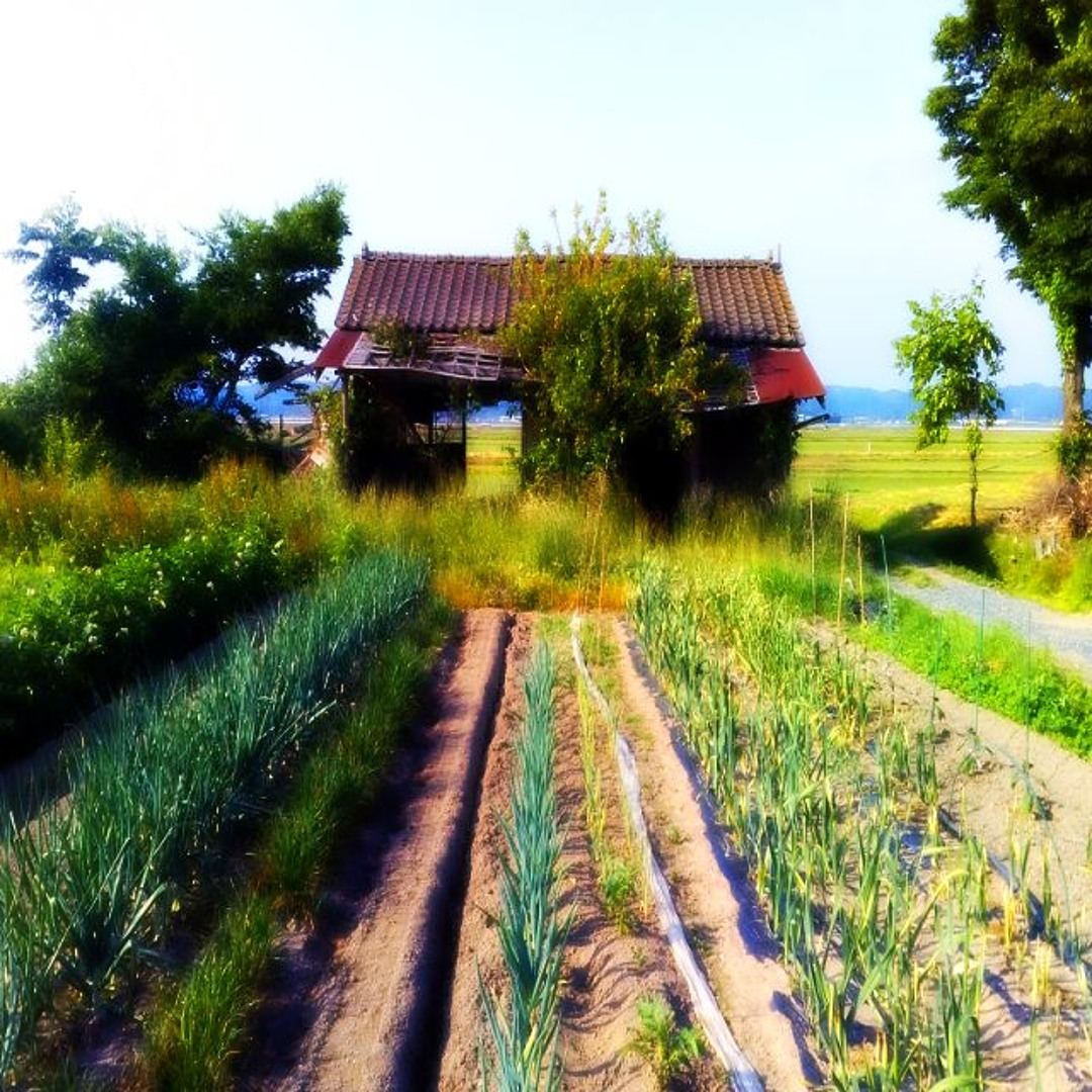 Stream miyagi | Listen to Little Organ Book playlist online for free on ...