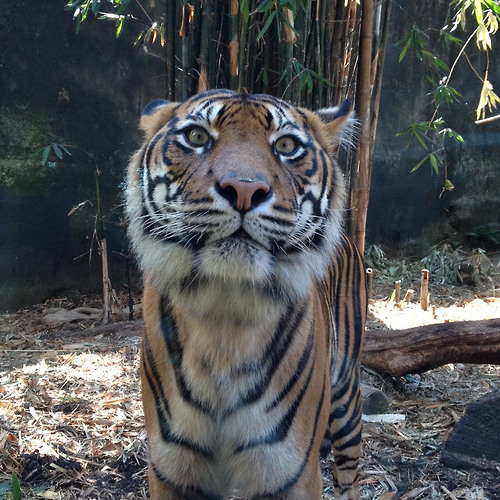 Stream SS March 2025 Mix by Scott Simpson | Listen online for free on ...