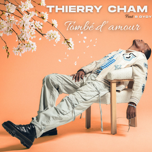 Stream Tombé d'amour (feat. RDYDY) by Thierry Cham | Listen online for free on SoundCloud