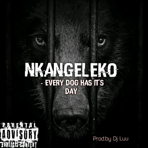 Stream Every dog has its day (prod. by DJ Luu Beats) by Nkangeleko ...