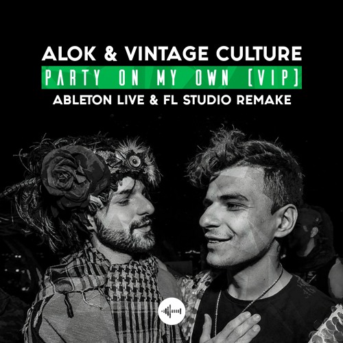 Stream Alok & Vintage Culture - Party On My Own (Vip Mix) [Instrumental ...