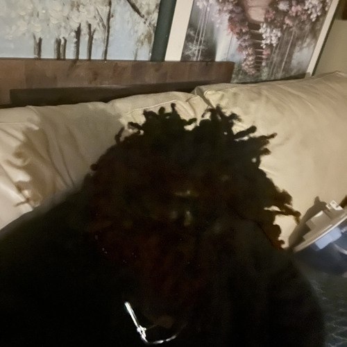 Stream Win by Wolf | Listen online for free on SoundCloud