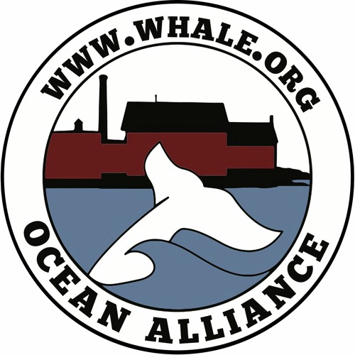 Stream Ocean Alliance, Inc. | Listen to Ocean Alliance Acoustic Library ...
