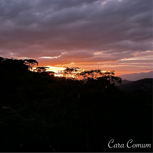 Stream Cara comum by Marcelo Castellani | Listen online for free on ...