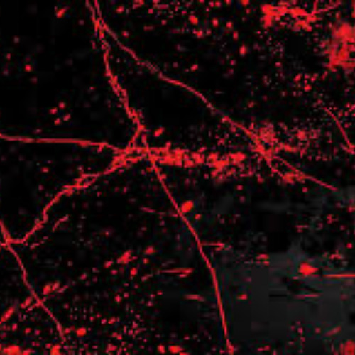 Stream Creep At Night by Myke919 | Listen online for free on SoundCloud