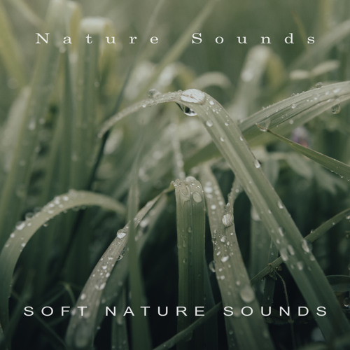 Stream Pure Water by Nature Sounds | Listen online for free on SoundCloud