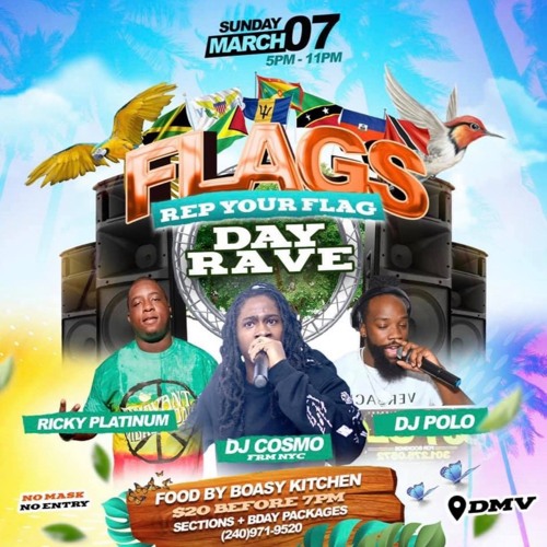 Stream FLAGS DMV 3/7/21 DJ POLO LIVE by DJ Polo Ent | Listen online for ...