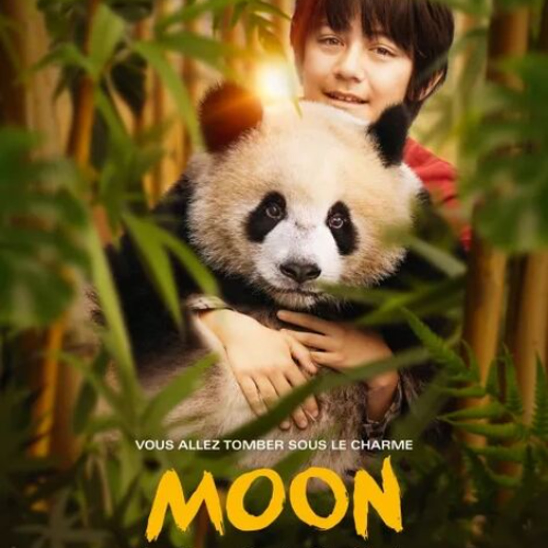 Stream [Online-Filmek | !!Moon, a panda!! (2025) Teljes Film Magyarul ...
