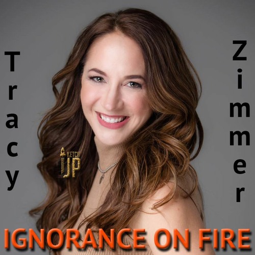 Stream Tracy Zimmer - Ignorance On Fire by #teamketchup | Listen online ...