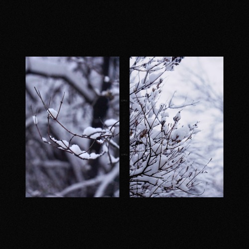 Stream Wishing Tree (Reprised Version) by llwll | Listen online for ... Stream Wishing Tree (Reprised Version) by llwll | Listen online for ...