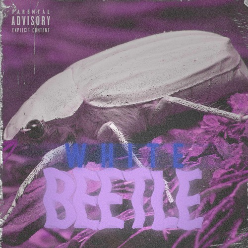 Stream White Beetle W/ 1$t Plvc3 by sawce007 | Listen online for free ...