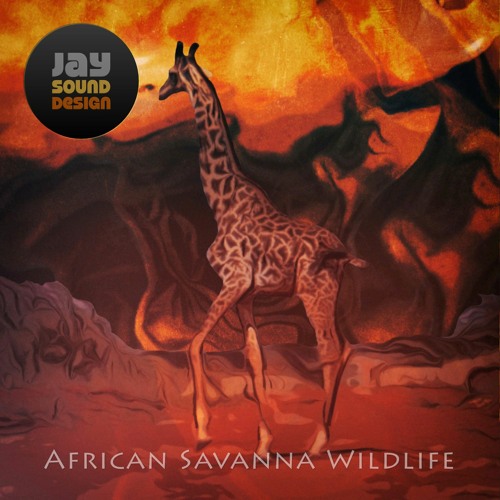 African Savanna Wildlife - Listen to music
