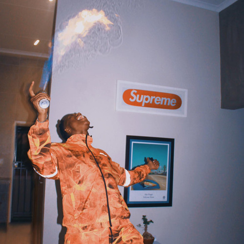 Stream Wasted ft Lethabo Acid&Gator by INSANIDY | Listen online for ...