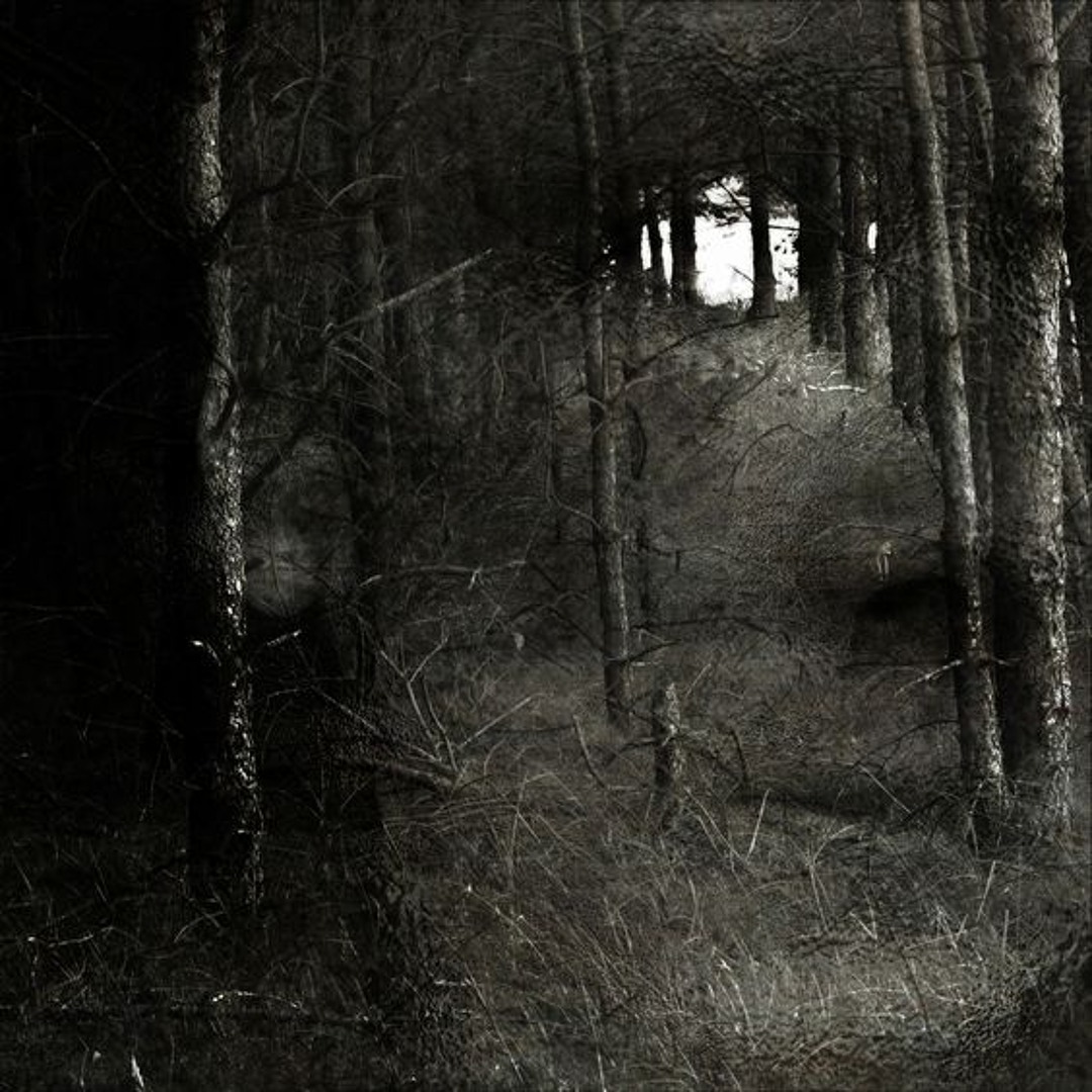 Stream ethel cain - powerline valley (corrupt version) by backwater ...