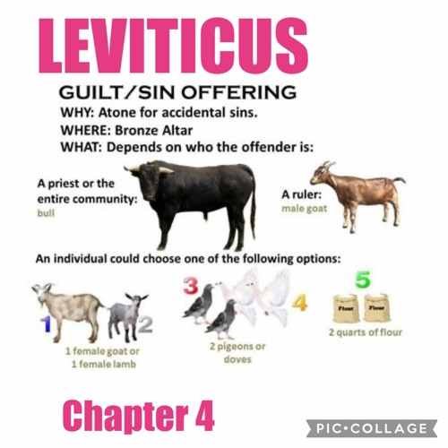 Stream Leviticus4 - The Sin Offering by COGA Knows His Word Daily ...
