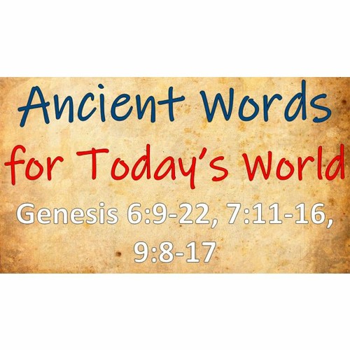 Stream Need An Ark? I Noah Guy... - Genesis 6:9-22, 7:11-16, 9:8-17 ...