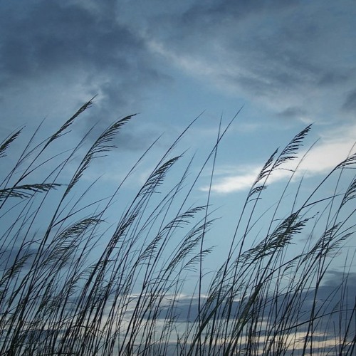 Stream Light Breeze by Polyvoxel | Listen online for free on SoundCloud