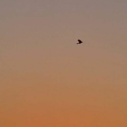 Stream Liminal Space by Joburg Boet | Listen online for free on SoundCloud