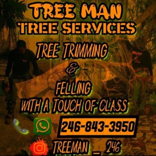 Stream Tree Man No Leff Behind 2024 by Rico Love | Listen online for ...