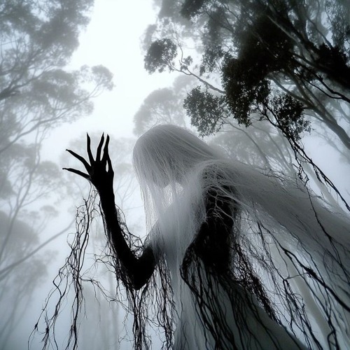 Stream Jip Listen To B4 2025 Playlist Online For Free On Soundcloud