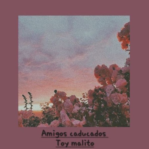 Stream Amigos Caducados - Toy Malito by Toy Malito | Listen online for ...
