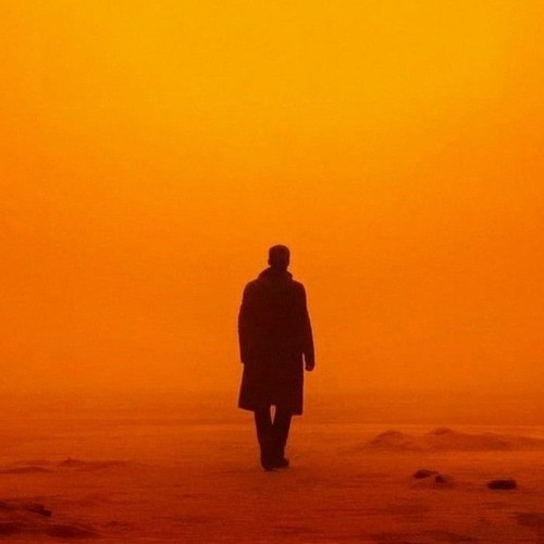 Stream Playboi Carti x adrian type beat "5 AM in 2049" [prod. adturnup ...