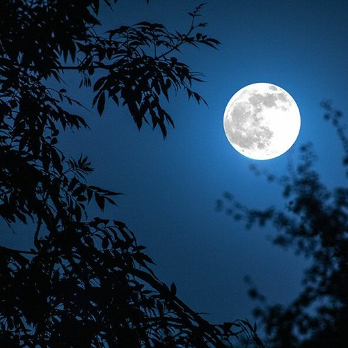 Stream episode Ballade A La Lune by Alfred de Musset (translation) by ...