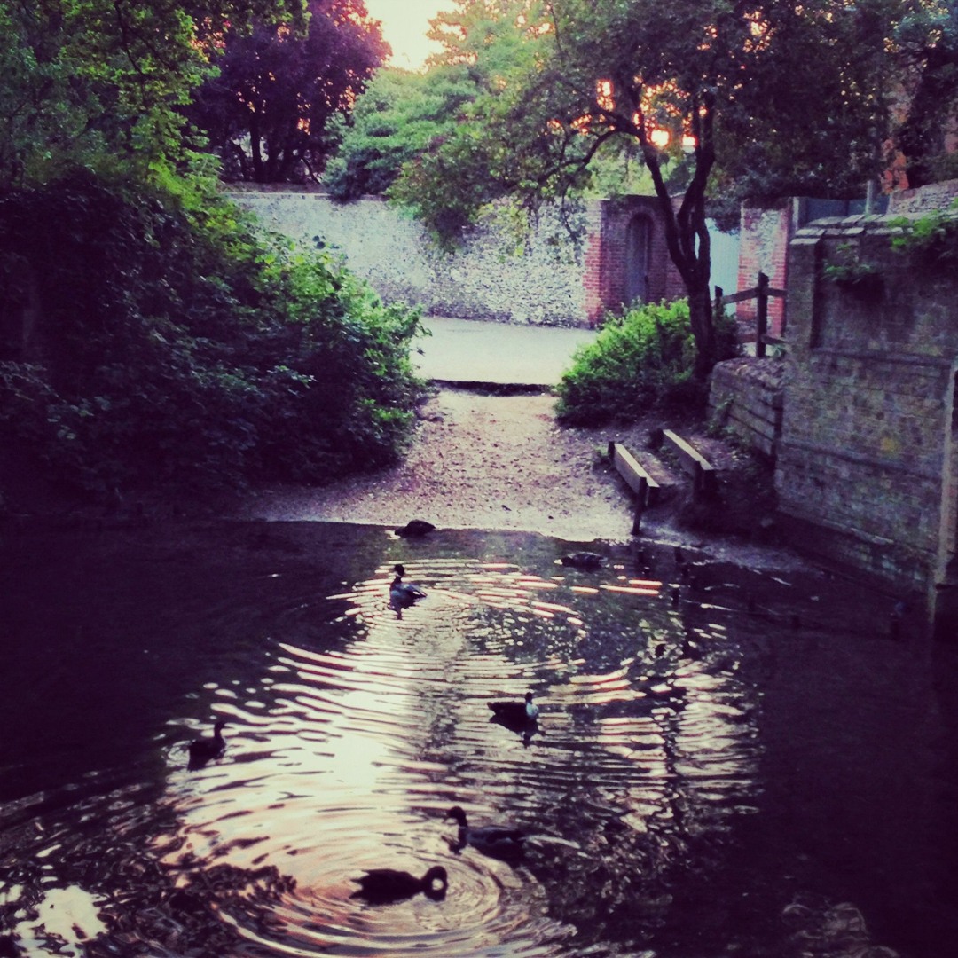 Stream Austin Basham | Listen to Isolation For Beginners playlist ...