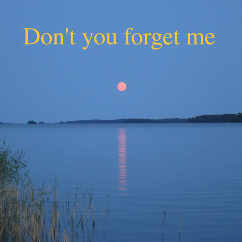 Stream Don´t You Forget Me by Bo Norin | Listen online for free on ... Stream Don´t You Forget Me by Bo Norin | Listen online for free on ...