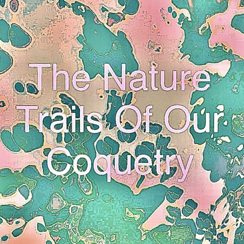 Stream The nature trails of our coquetry by Hum Ann | Listen online for ...