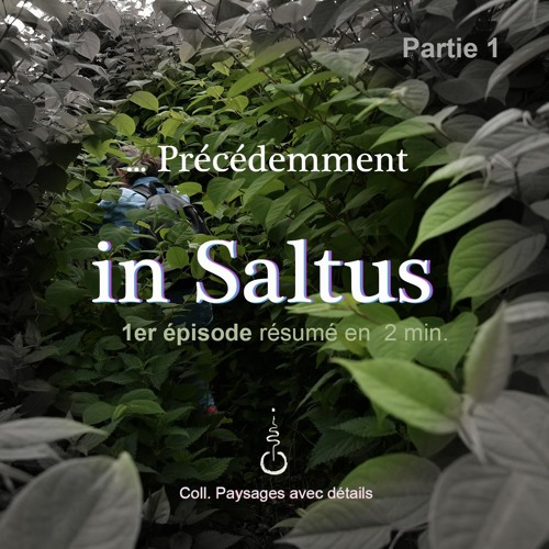 Stream episode Précédemment in Saltus : Ep 1 résumé en 2' by Multipiste ...