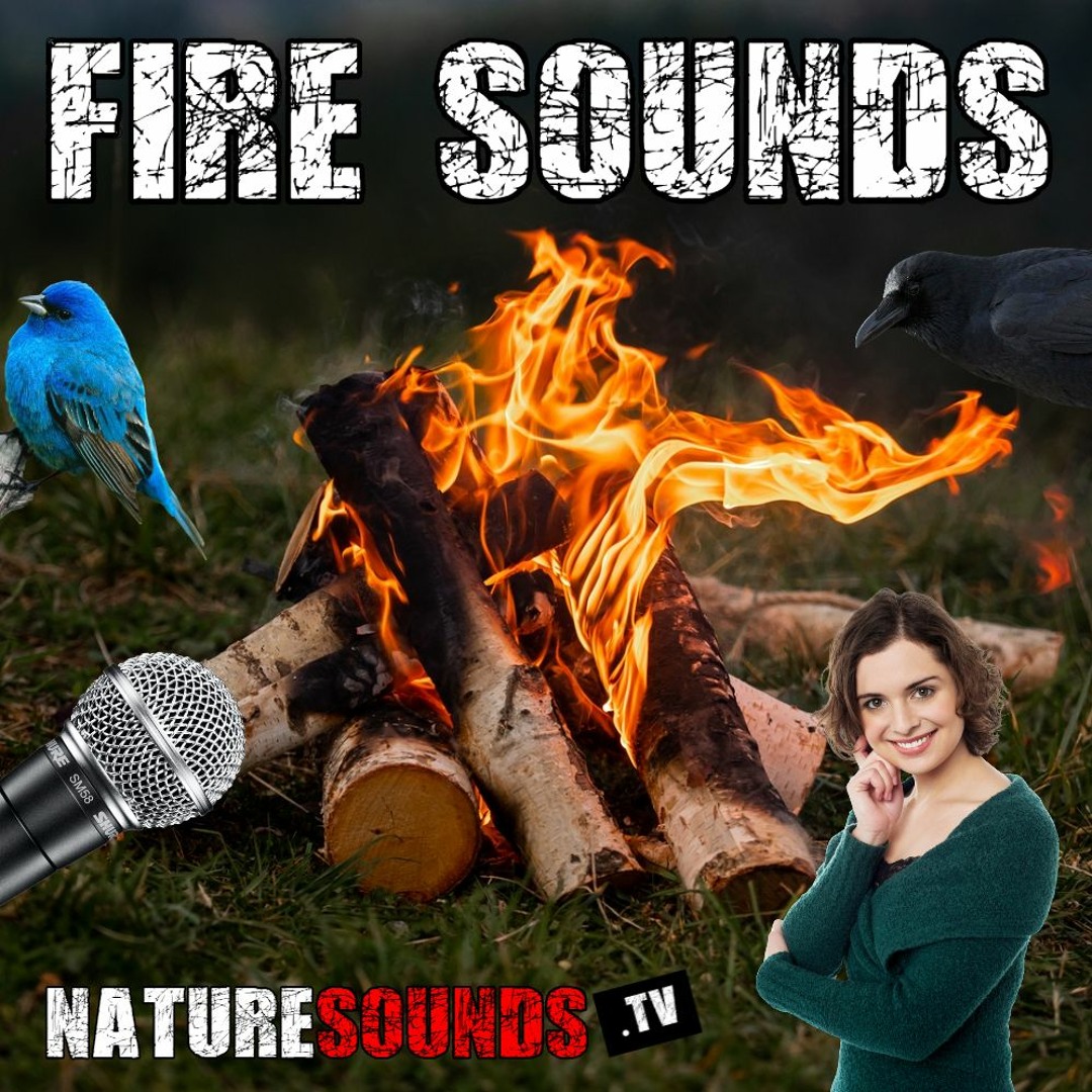 Stream Nature Sounds TV | Listen to Fire Sounds playlist online for ...