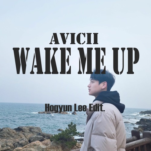 Stream Avicii - Wake Me Up (Hogyun Lee Remix) by Hogyun Lee | Listen ...