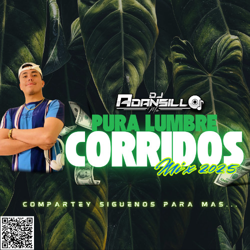 Stream PURA LUMBRE CORRIDOS BARRANCONES ALEGRES MIX 2025 DjADANSiLLOMiX ...