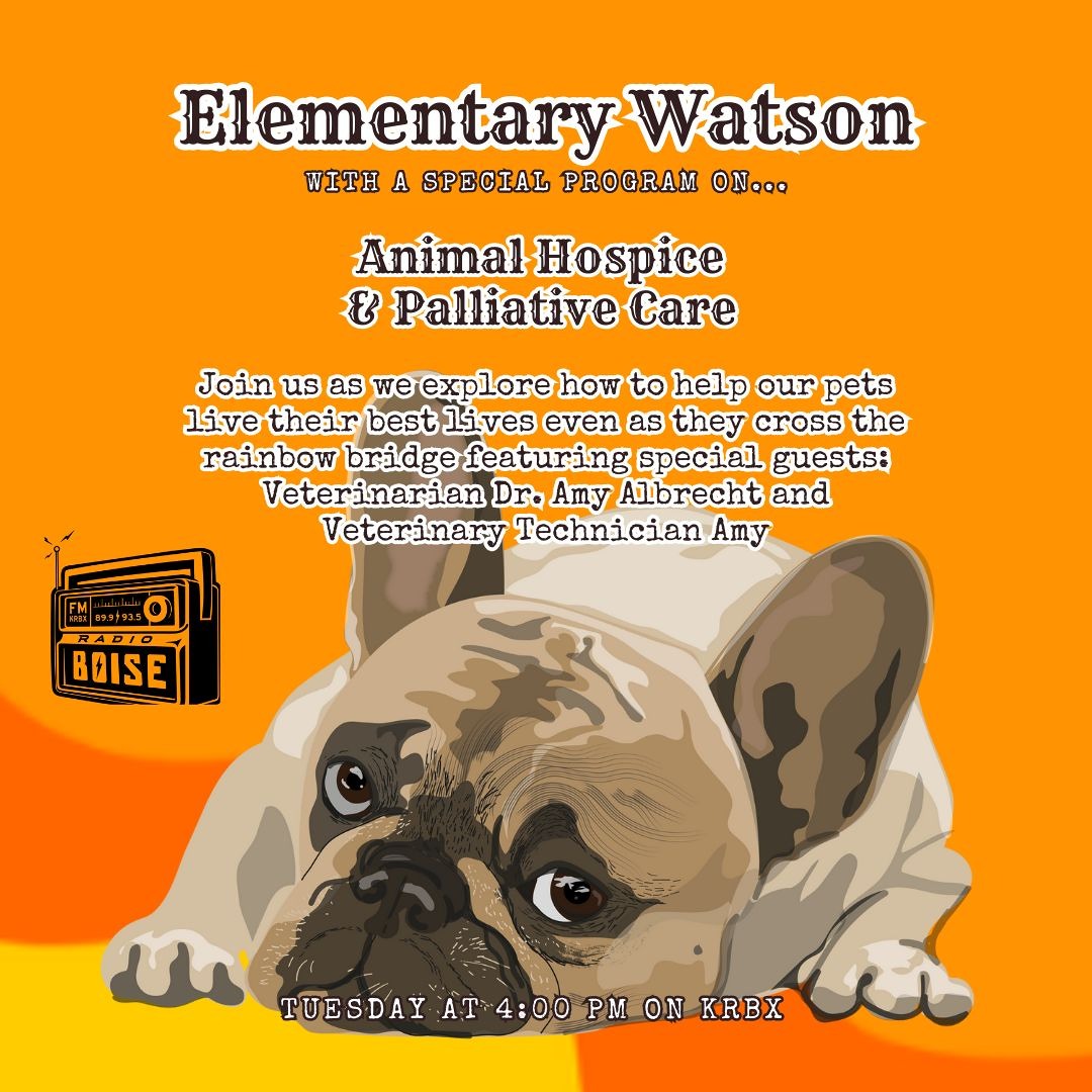 Stream Elementary Watson - Animal Hospice & Palliative Care by Radio ...