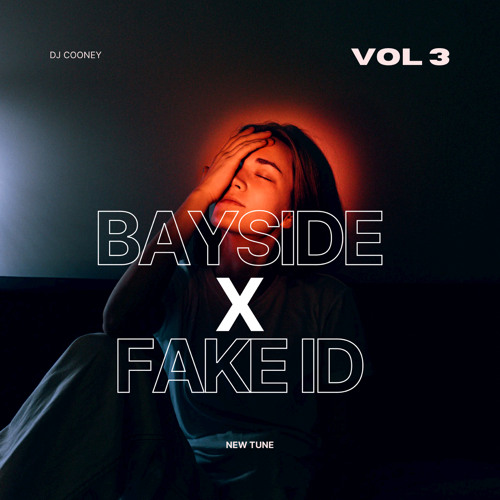Stream Bayside X Fake Id by Dj Alan cooney🎶 | Listen online for free on ...