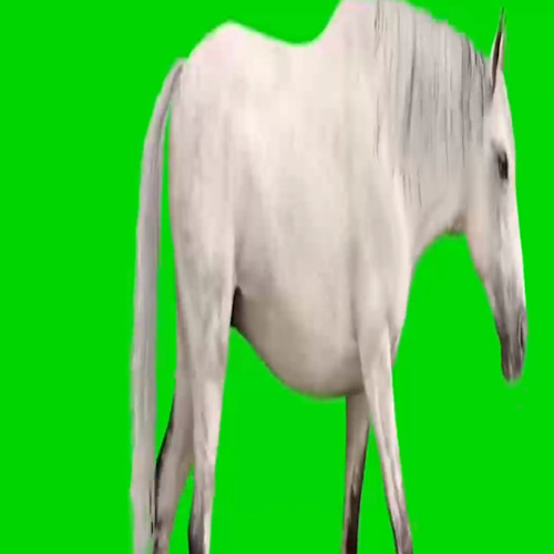 Stream Horses don’t stop, they keep going by Hubert Blaine | Listen ...