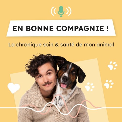 Stream DP Sonore : « En bonne compagnie ! La chronique soin & santé de ...