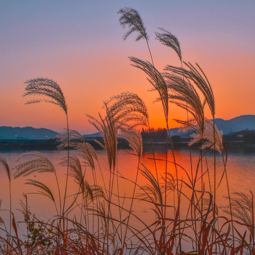 Stream Moment of separation by Akira Pham | Listen online for free on ...