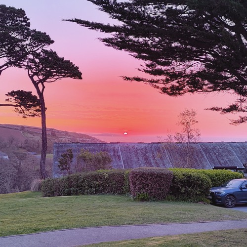 Stream magic medasin x Tiktok Girl laughing by Atlantic | Listen online ...