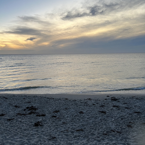 Stream High By The Beach - Lana Del Rey (Micro Cover) by User 74227261 ...