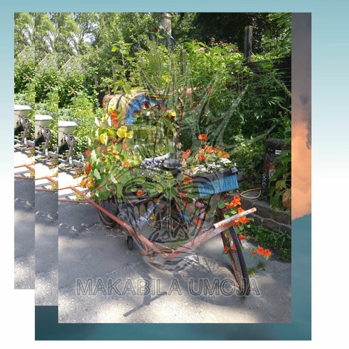 Stream Sistema Bongololo - Makabila set 2022 by MAKABILA UMOJA | Listen ...