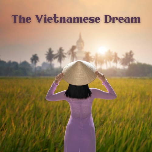 Stream The Vietnamese Dream (prod. baggagelizard) by D4N1ELLE | Listen ...