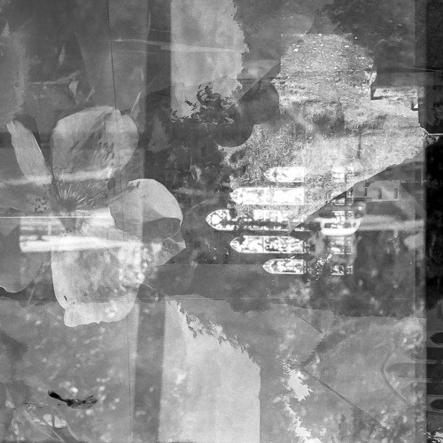Stream How has the island changed over time? by School of Plural ...