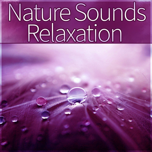 Stream Deep Massage by Relaxing Nature Sounds Collection | Listen online for free on SoundCloud
