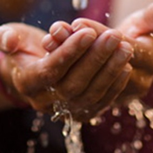 Stream episode 2021:02.05 - Pat McCabe, Susan Balbas & Host Ladybird ...