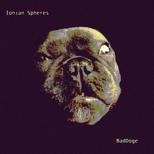 Stream BadDoge by Ionian Spheres | Listen online for free on SoundCloud