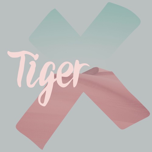 Stream Tiger X. Episode 22. The Hooji by Radio Tiger | Listen online ...